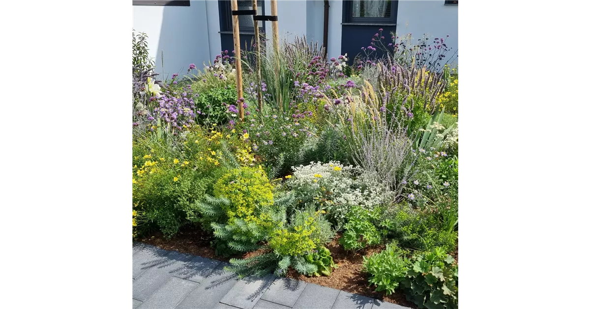 Wunderschne Bamberger Staudengarten Shop Bilder