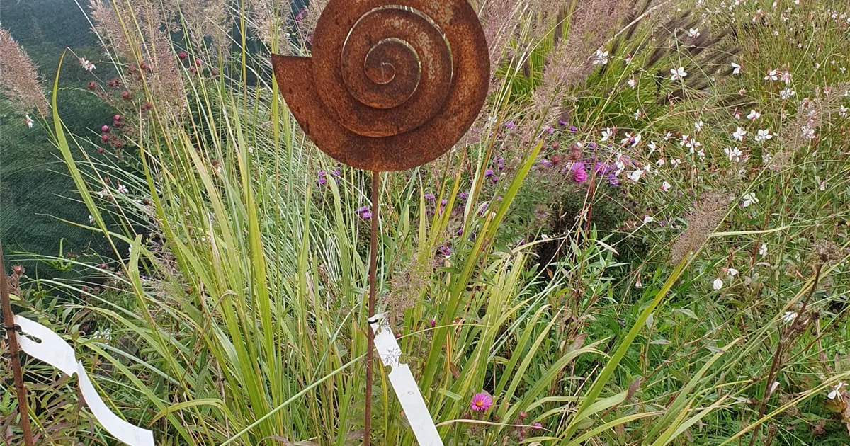 Wunderschne Bamberger Staudengarten Shop Bilder